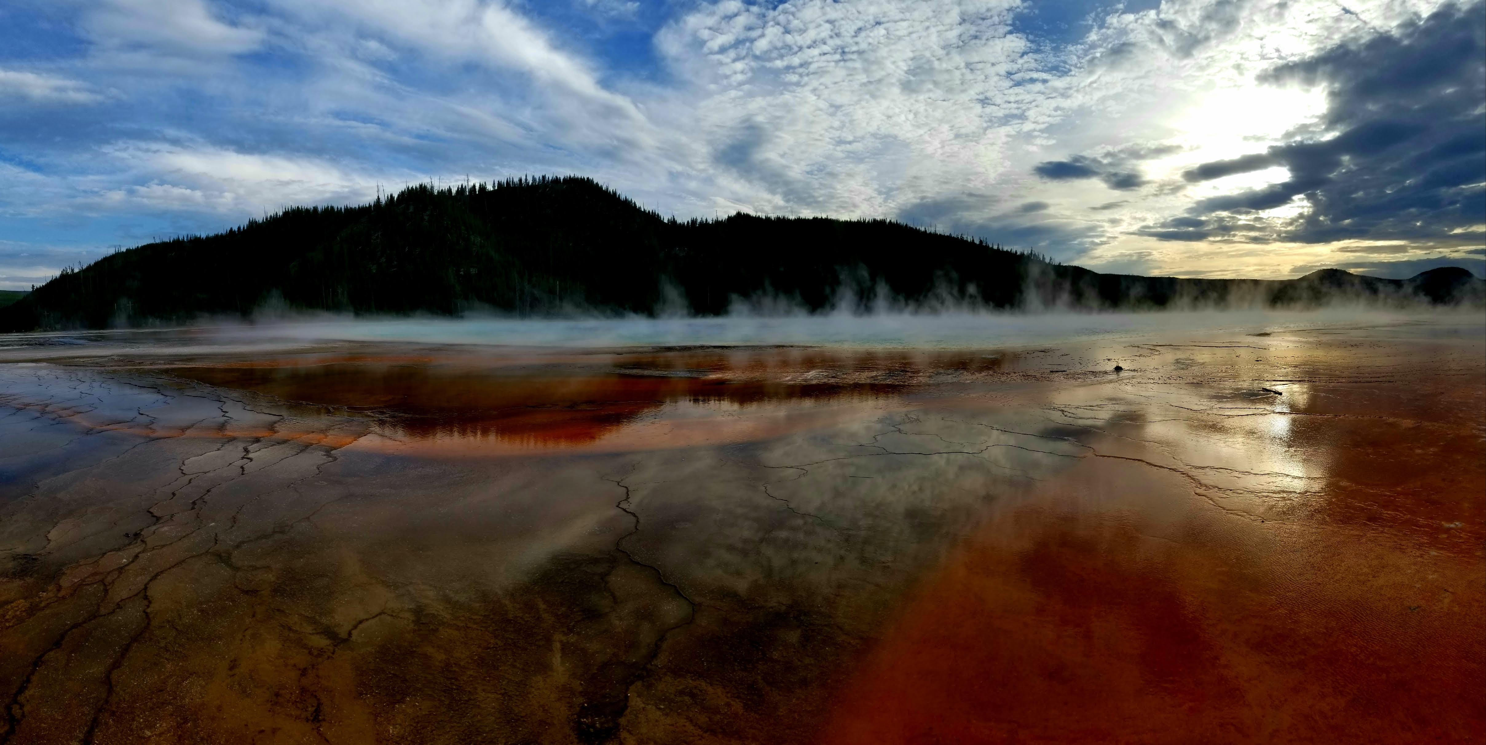 Curriculum Vitae – Ian T.W. Flynn