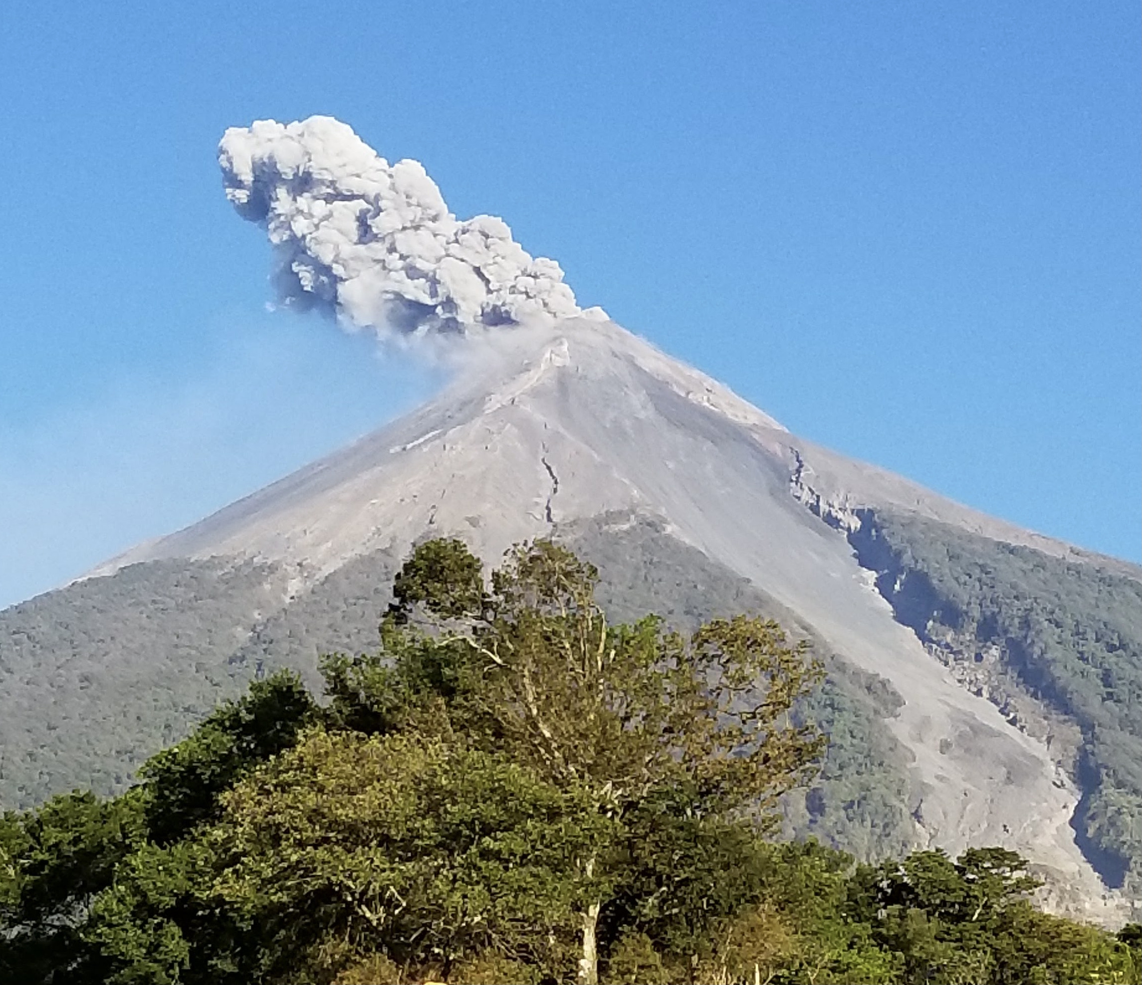 Curriculum Vitae – Ian T.W. Flynn